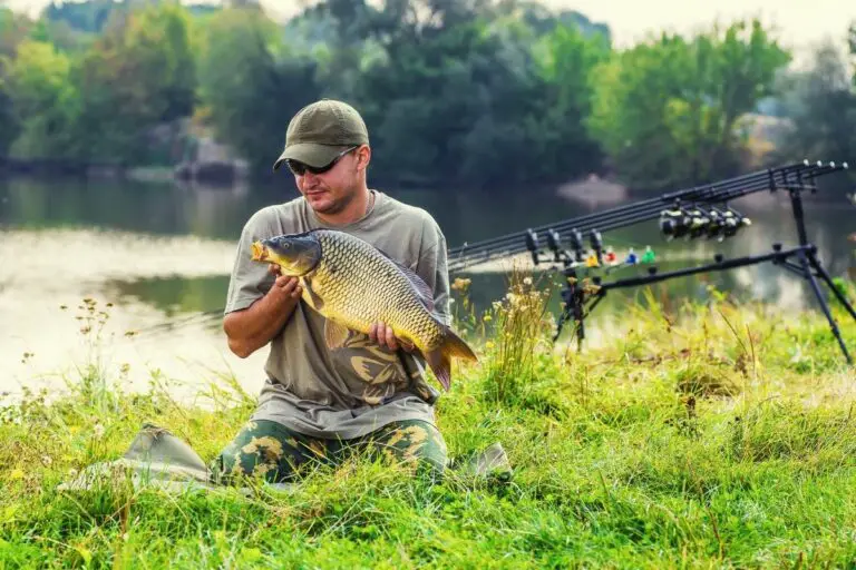 How to Catch Carp in a Pond: 11 Quick Tips - FishFinder HQ