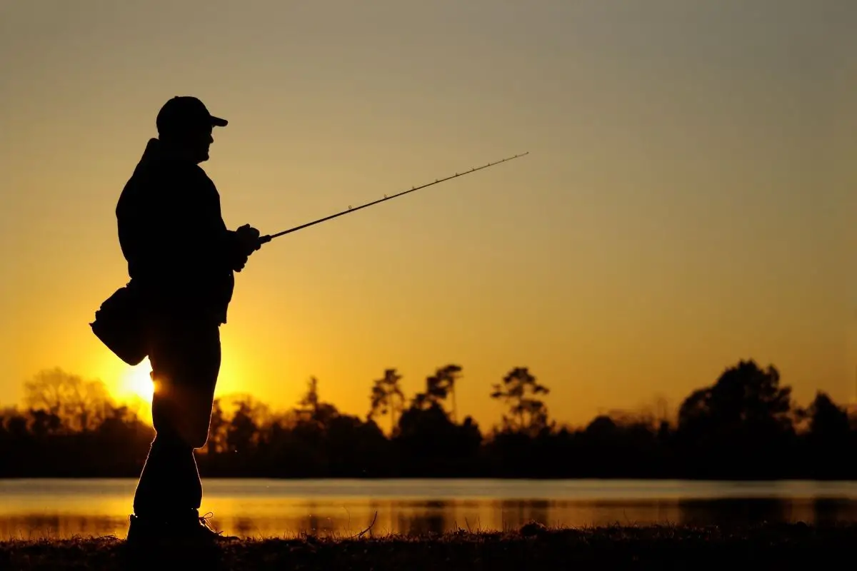 Addicted To Fishing: Find Out Why You Love Fishing Here - FishFinder HQ