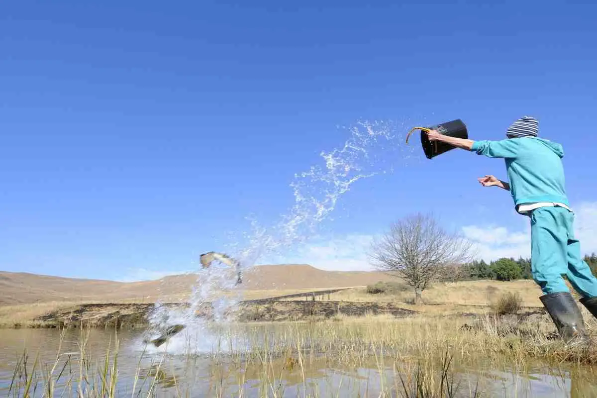 How to Catch Trout in a Pond - FishFinder HQ